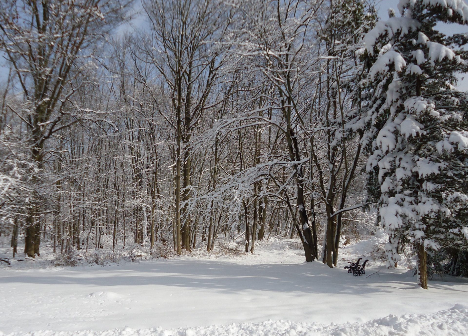 Meteorologist predicts long, cold and wet Iowa winter | Iowa ...