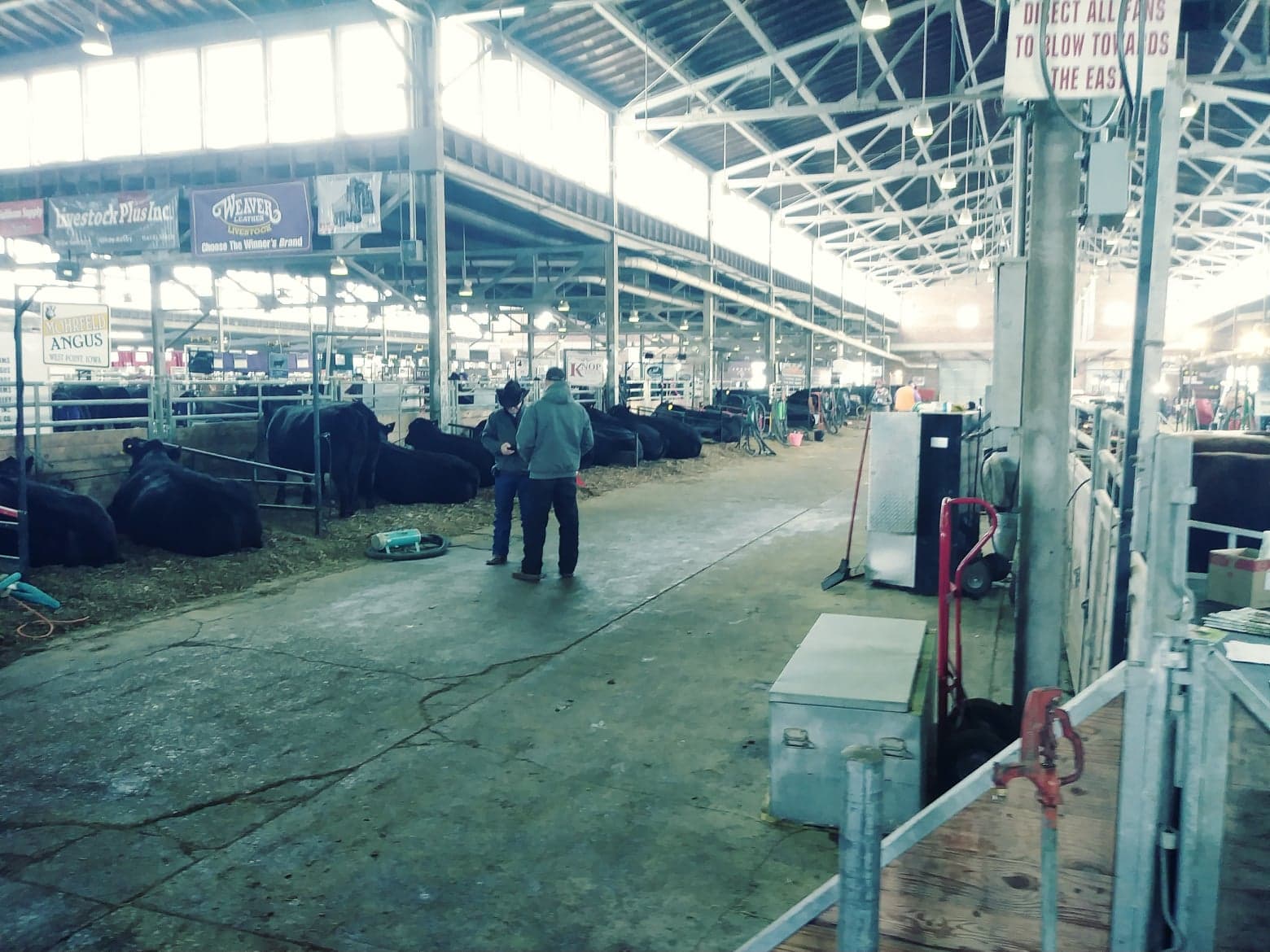 Iowa Beef Expo runs this week in Des Moines | Iowa Agribusiness Network