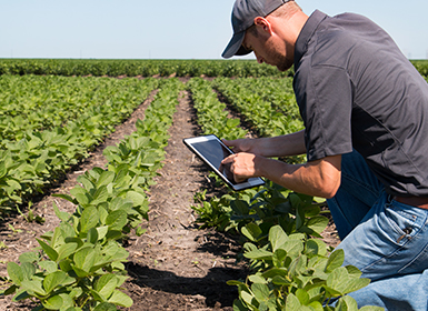 Syngenta partners with Sony to improve drone camera technology | Iowa ...