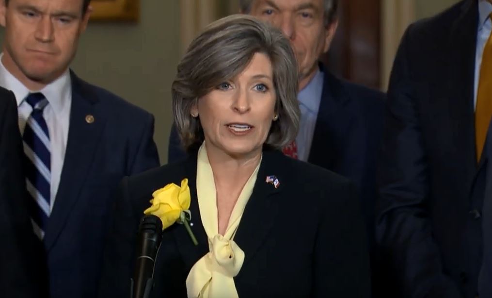 Senator Ernst talks about disaster bill and need for USMCA | Iowa ...