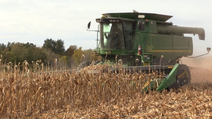Crop Progress: Iowa crops continue push toward maturity | Iowa ...