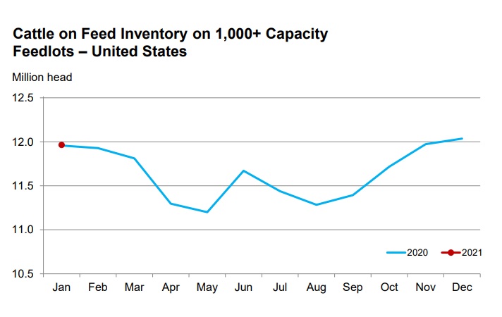 US Cattle on Feed up slightly year/year | Iowa Agribusiness Network