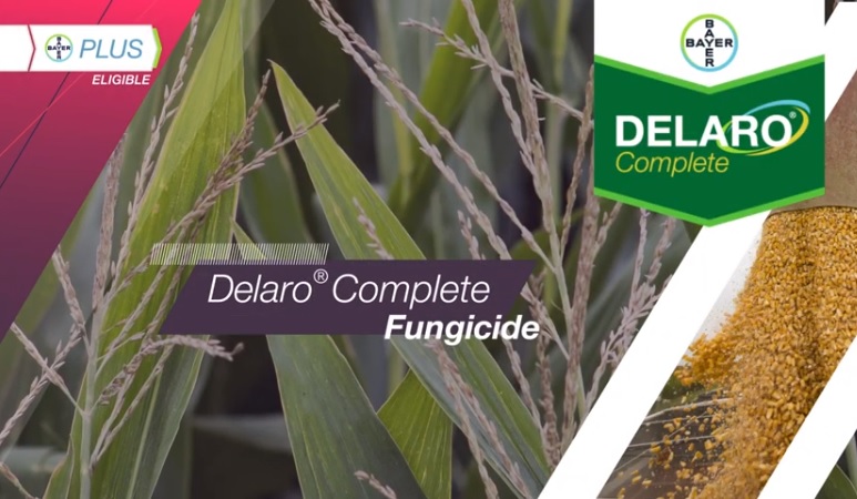 Delaro Complete fungicide available this growing season | Iowa ...