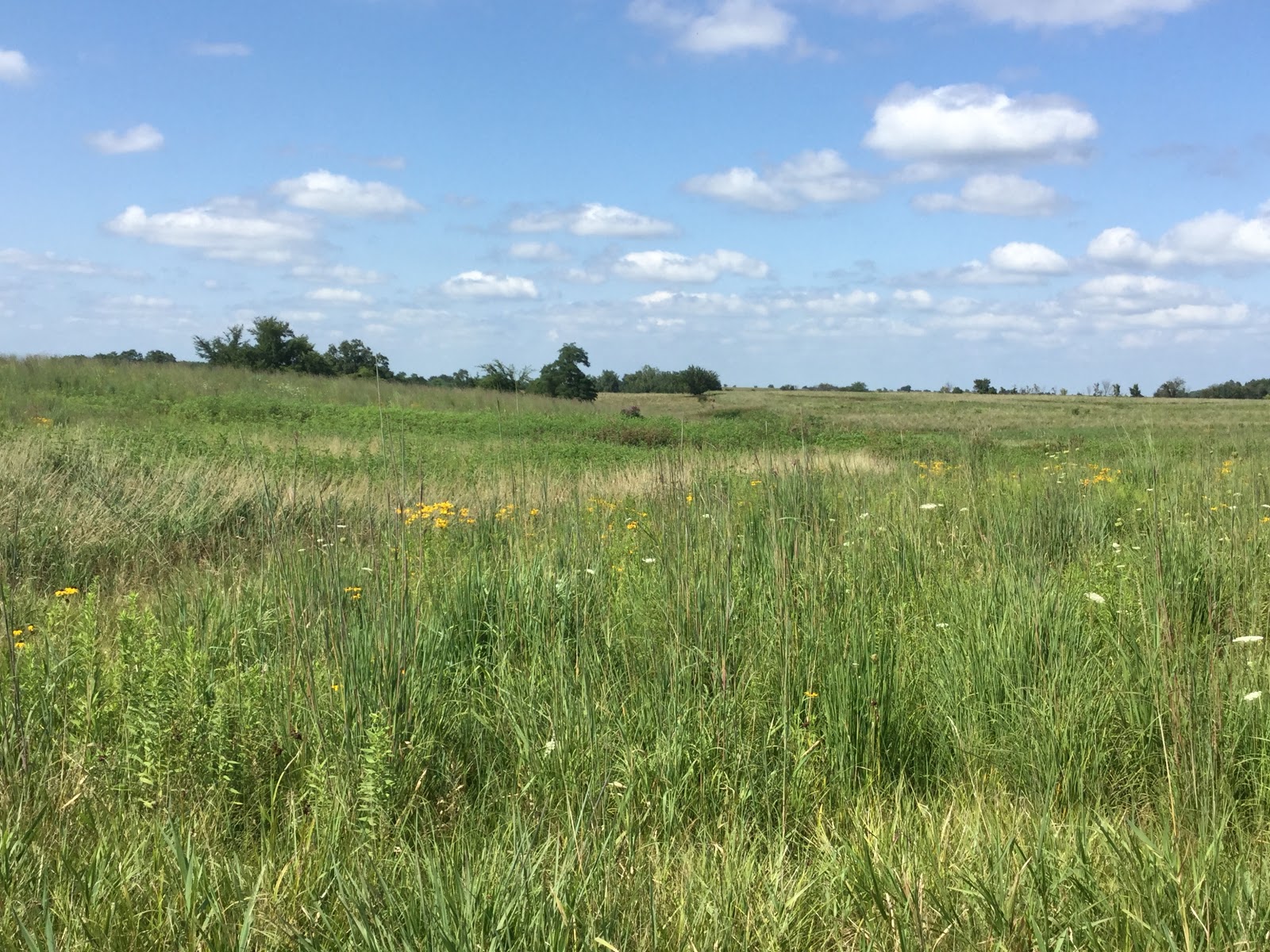USDA announces dates for CRP and Grasslands signup | Iowa Agribusiness ...