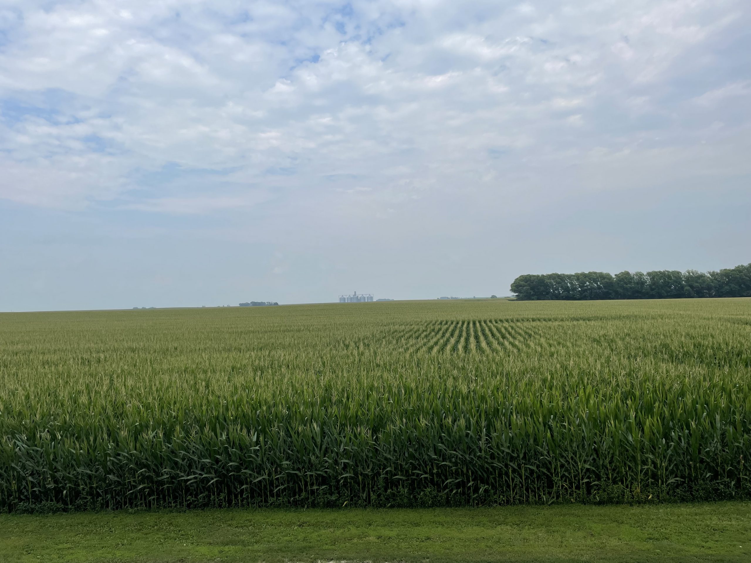 Iowa crop progress remains ahead of average | Iowa Agribusiness Network