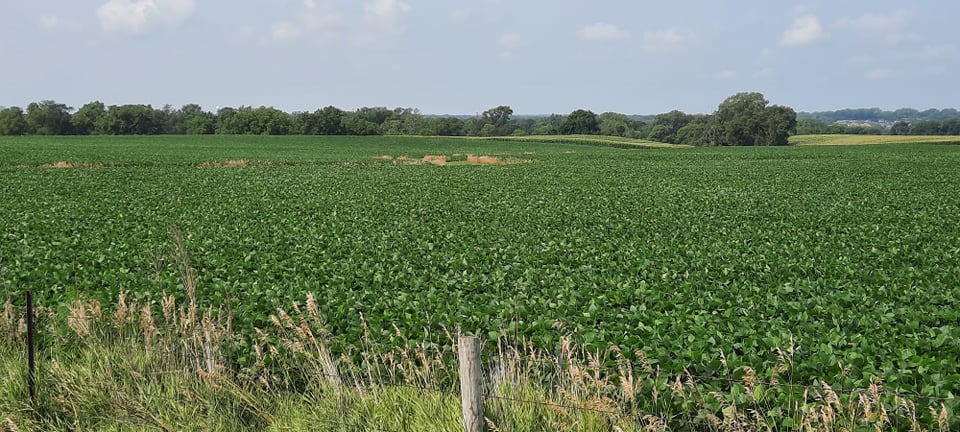 Xtend Crop Protection has you covered in 2022 | Iowa Agribusiness Network