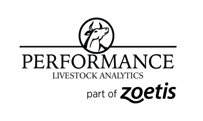 Utilizing Performance Beef in your cattle operation | Iowa Agribusiness ...