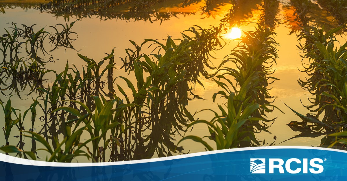 Managing risk with RCIS | Iowa Agribusiness Network