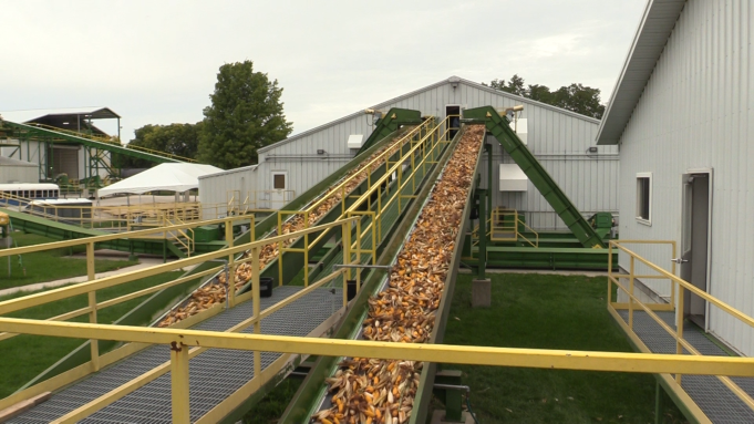 Wyffels Hybrids seed production facility continues to expand | Iowa ...