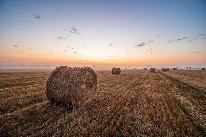Secretary Naig encourages farmers to utilize state’s hay and straw ...