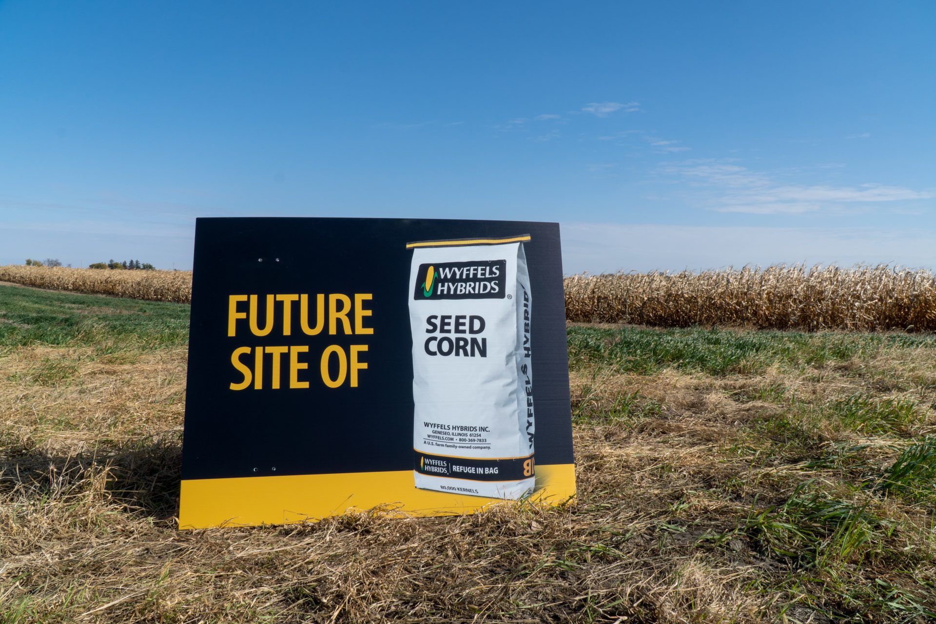 Wyffels Hybrids announces plans for new Iowa facility | Iowa ...