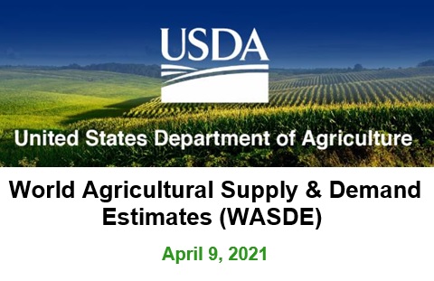 April WASDE Report ?kind of a dud,? analyst says | Iowa Agribusiness ...