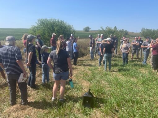 Benefits of saturated buffers for farmers | Iowa Agribusiness Radio Network