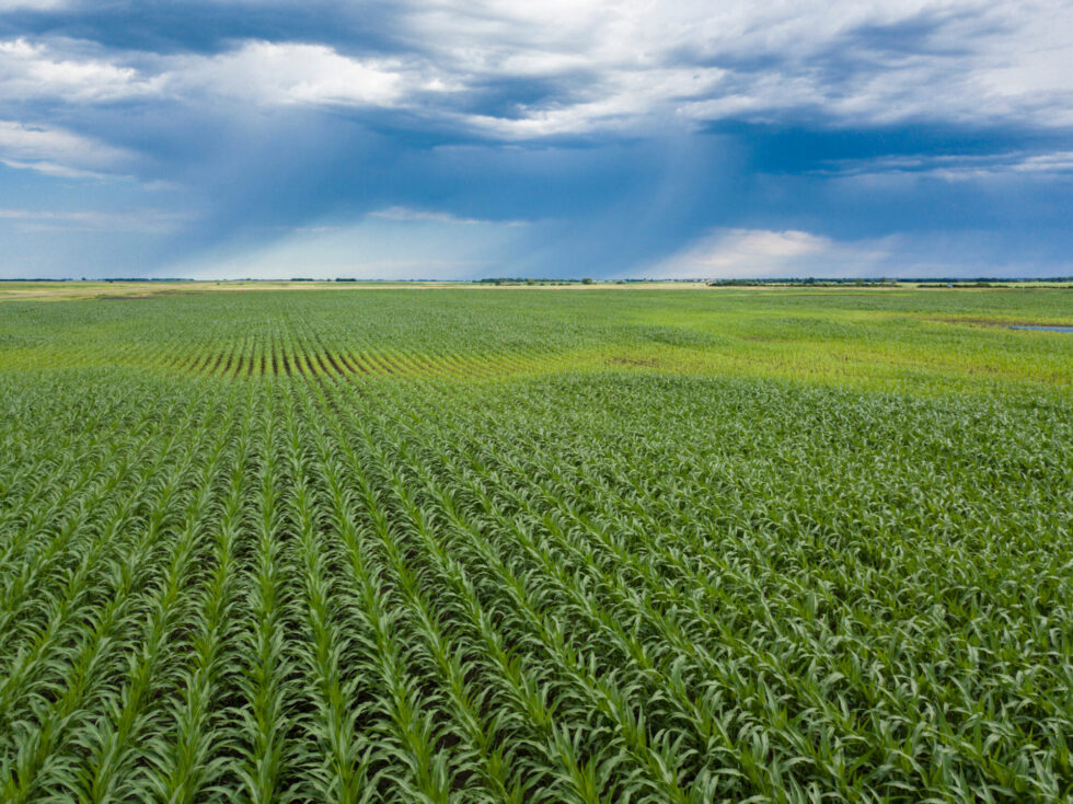 The science behind healthy plant ecosystems | Iowa Agribusiness Radio ...