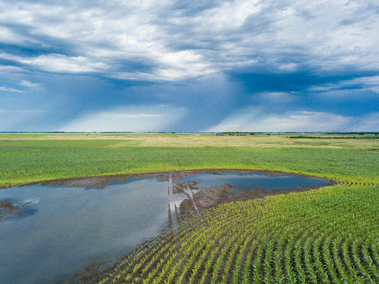 April rainfall delivers drought relief | Iowa Agribusiness Radio Network