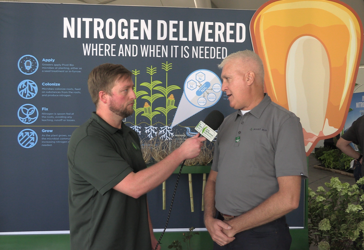 Navigating tough weather conditions with a more stable form of nitrogen ...