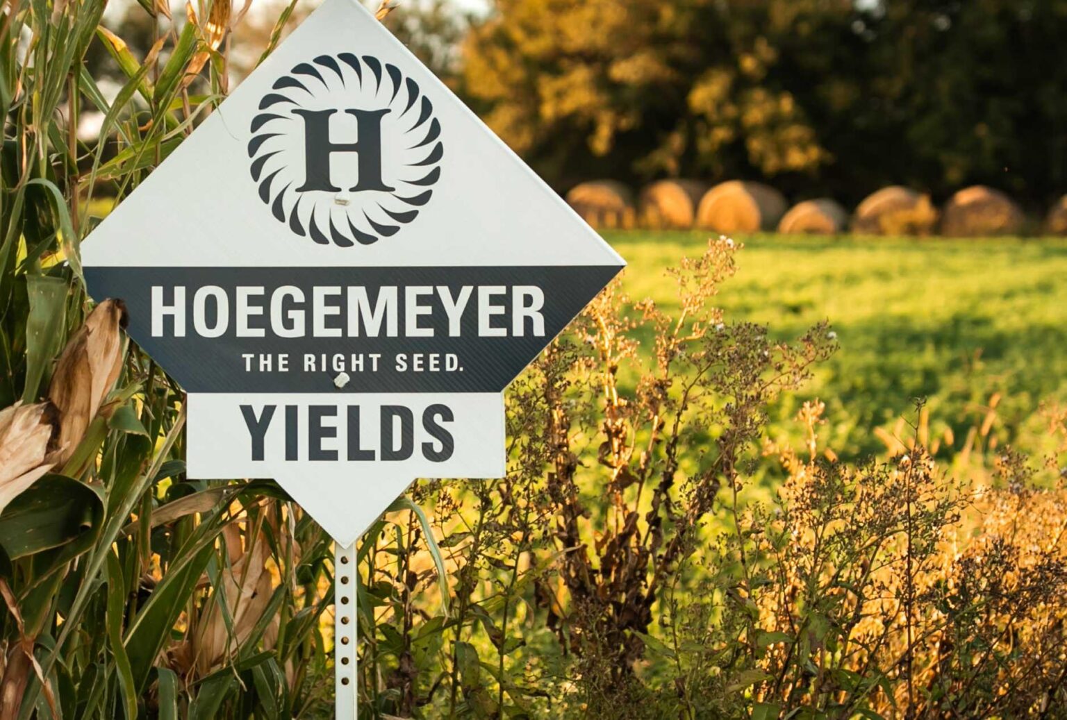 Hoegemeyer pleased with 24 performance and looks forward to 25 | Iowa ...
