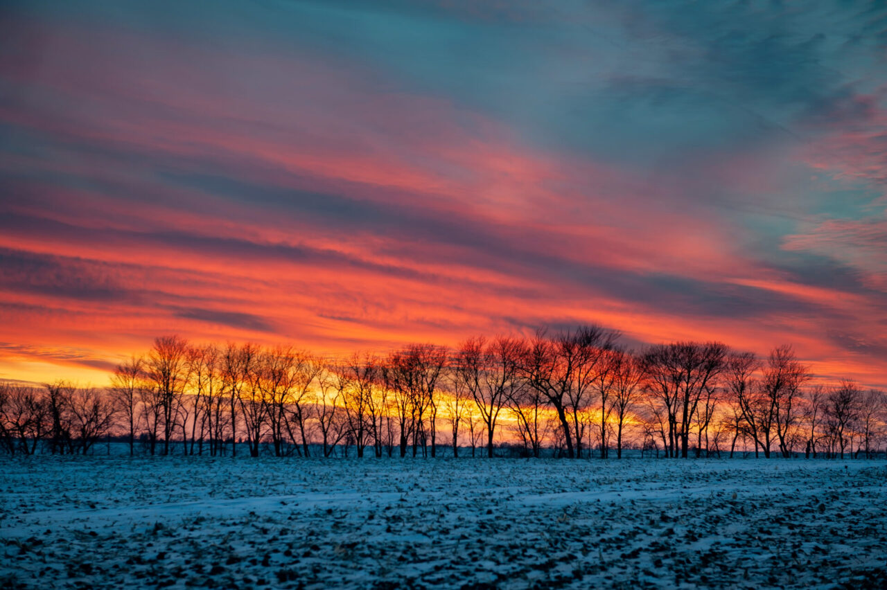 U.S. farm numbers decline for second straight year, USDA says | Iowa ...