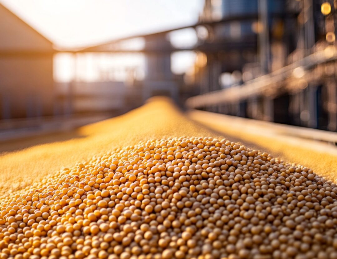 Soybean demand evolves beyond traditional export markets | Iowa ...
