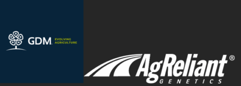 GDM announces agreement to acquire AgReliant Genetics | Iowa ...