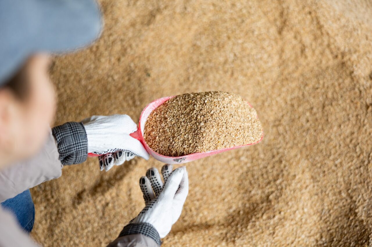 Soybean demand can still grow in livestock industry | Iowa Agribusiness ...