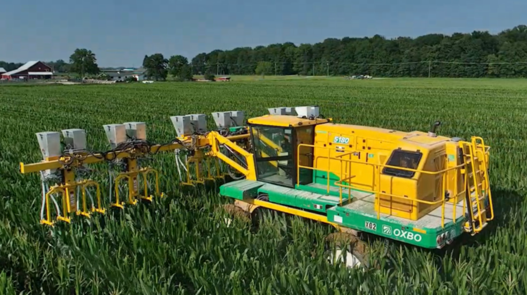 New technology allows for collection and direct application of pollen ...